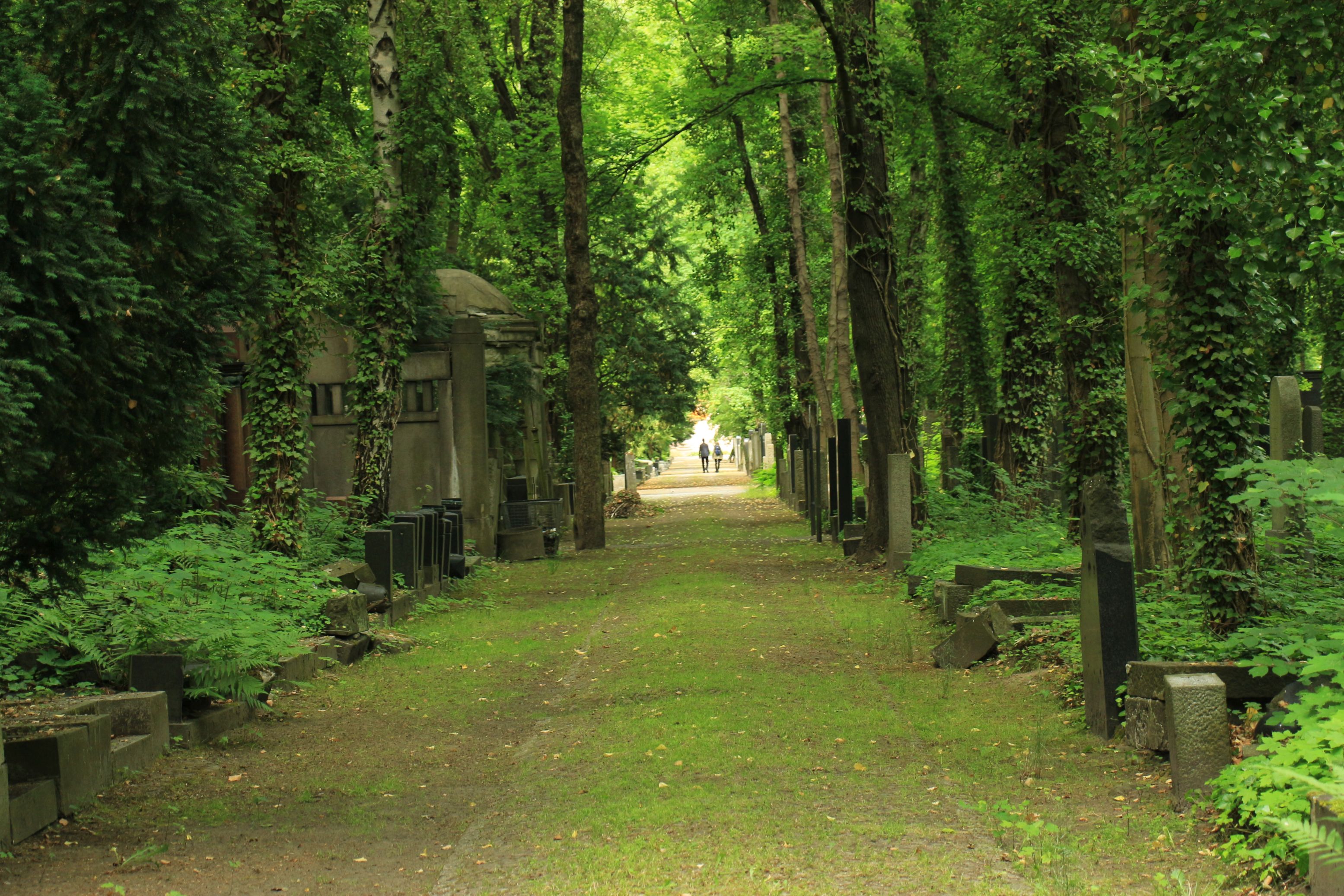 Jüdischer Friedhof Weißensee | Tipps, Bilder, Inspiration, travelcats