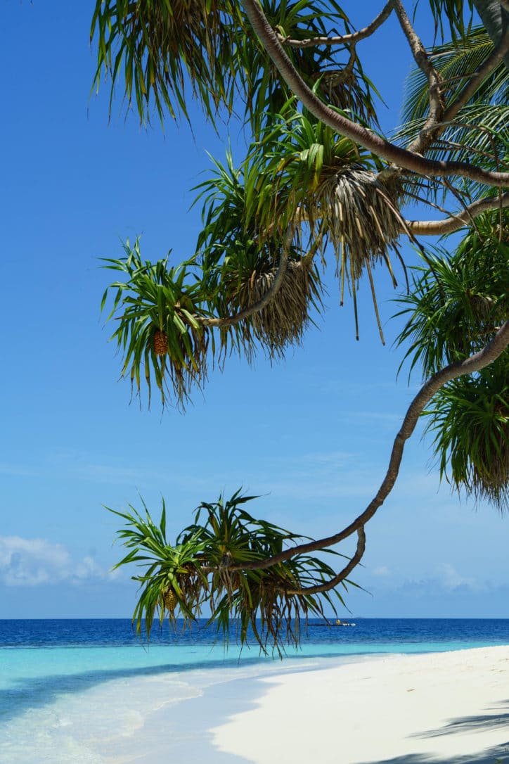 Angaga Island Resort & Spa Malediven | Review, Erfahrungsbericht, Tipps ...