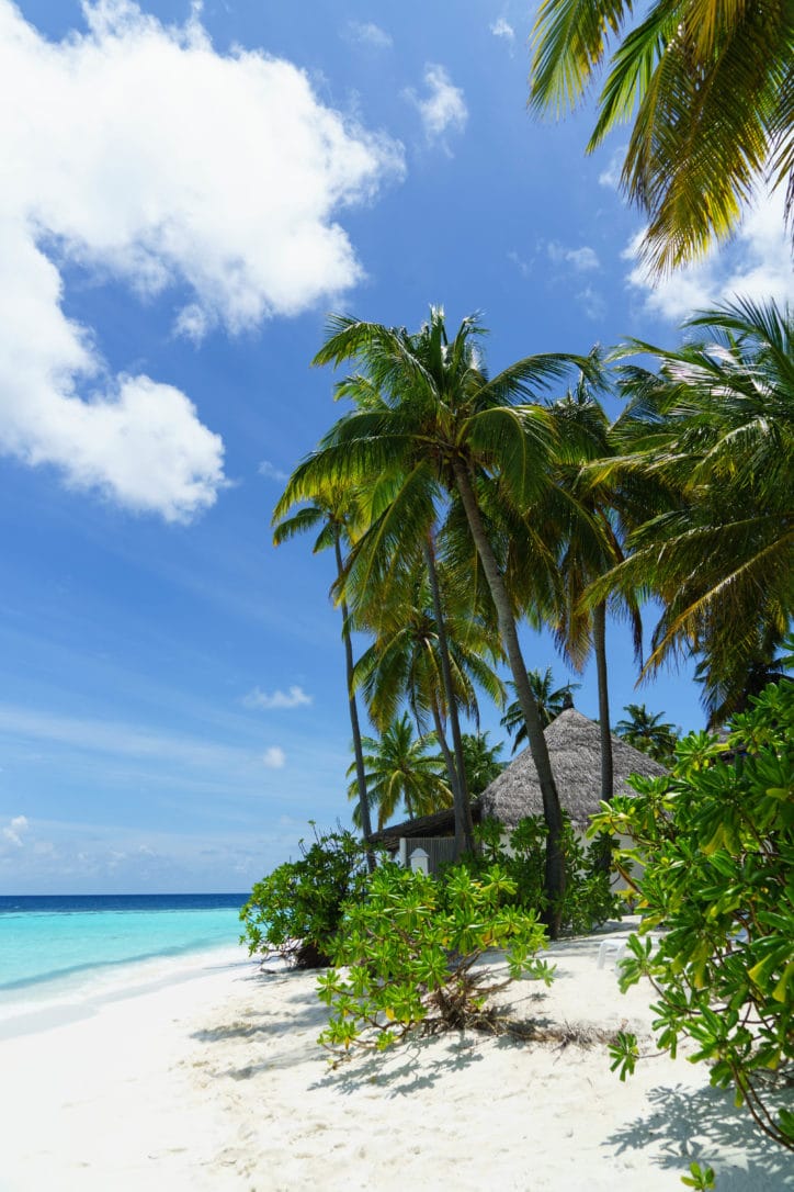 Angaga Island Resort & Spa Malediven | Review, Erfahrungsbericht, Tipps ...