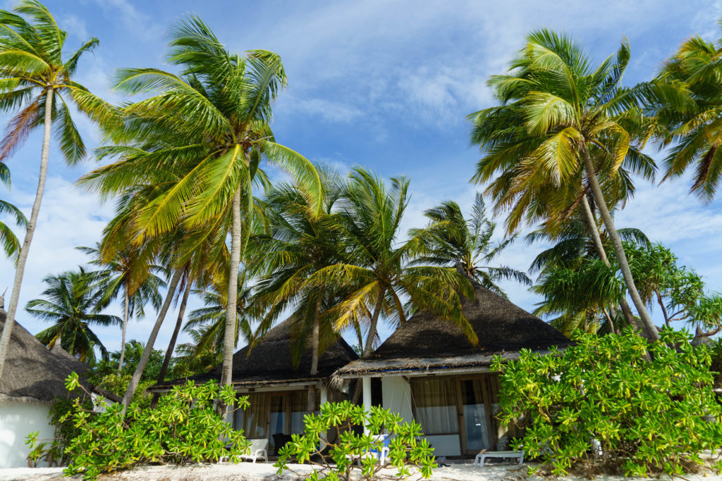 Angaga Island Resort & Spa Malediven | Review, Erfahrungsbericht, Tipps ...